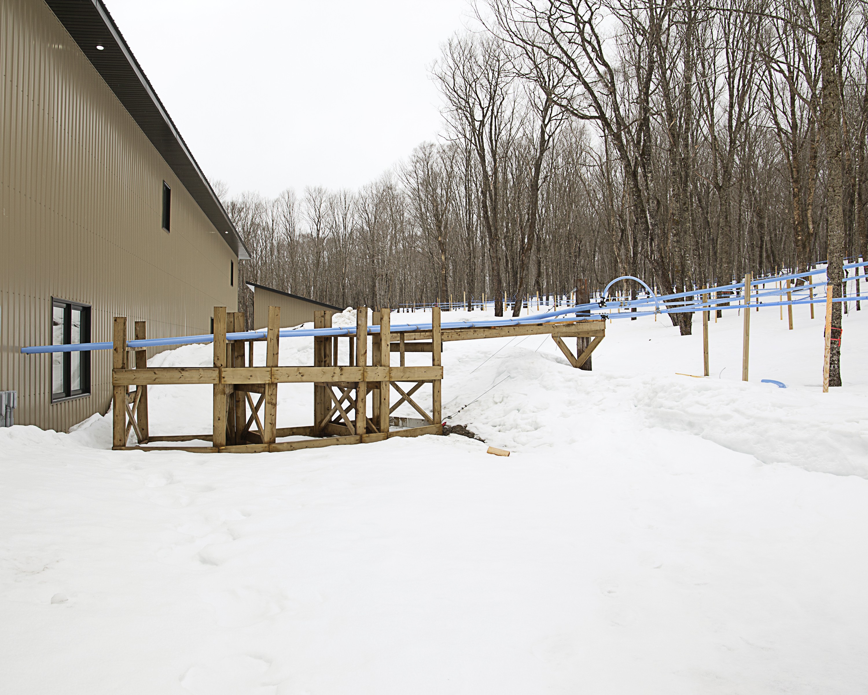 Brochettes à twister | LS Bilodeau